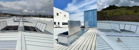 ᐉ ¿Qué es un exutorio? ⚙️ Comprende su papel